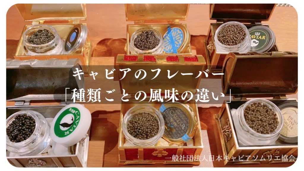 キャビアのフレーバー「種類ごとの風味の違い」 - 一般社団法人日本キャビアソムリエ協会（JCSA）